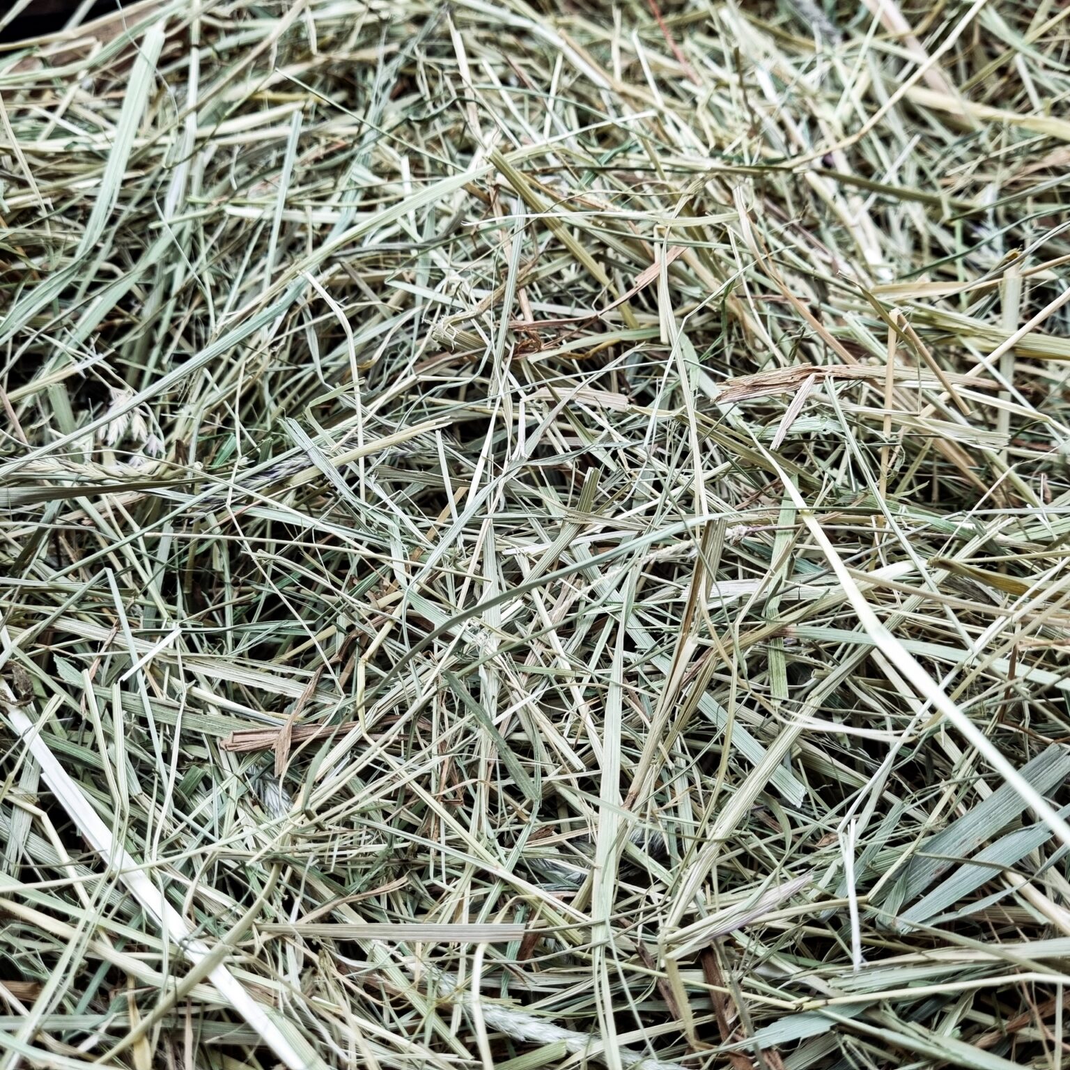 Foin Premium de Prairie BunnyNature - Prairies Naturelles